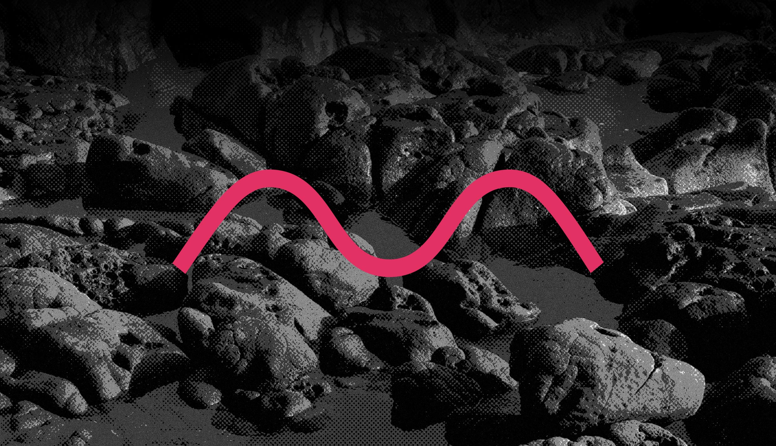 The Matter Art Project